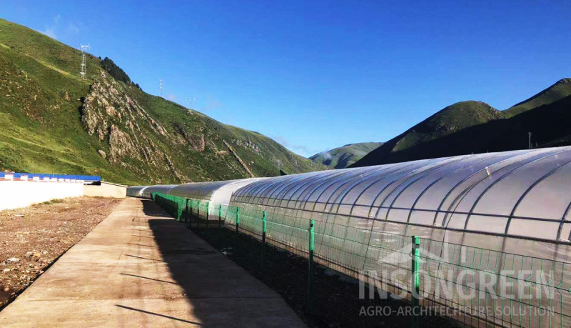 Freestanding Poly Greenhouse - 2018 - INSONGREEN