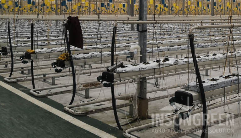 Automated Greenhouse System: 9 Crucial Components - INSONGREEN