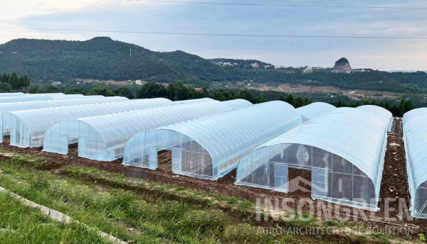 Poly Greenhouse (Polyhouse) - INSONGREEN