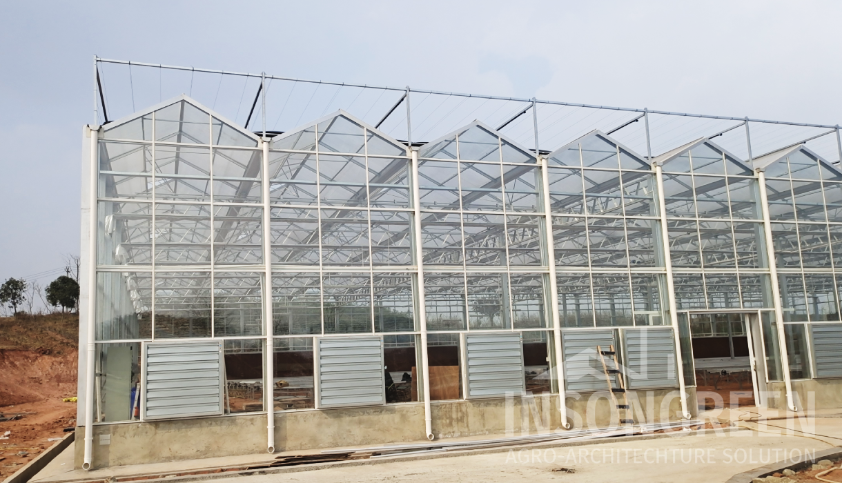 Venlo Greenhouse - INSONGREEN