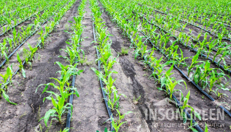 Greenhouse Irrigation System - INSONGREEN
