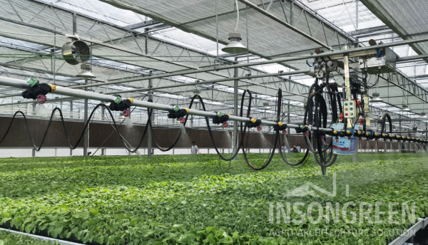 Greenhouse Irrigation System - INSONGREEN