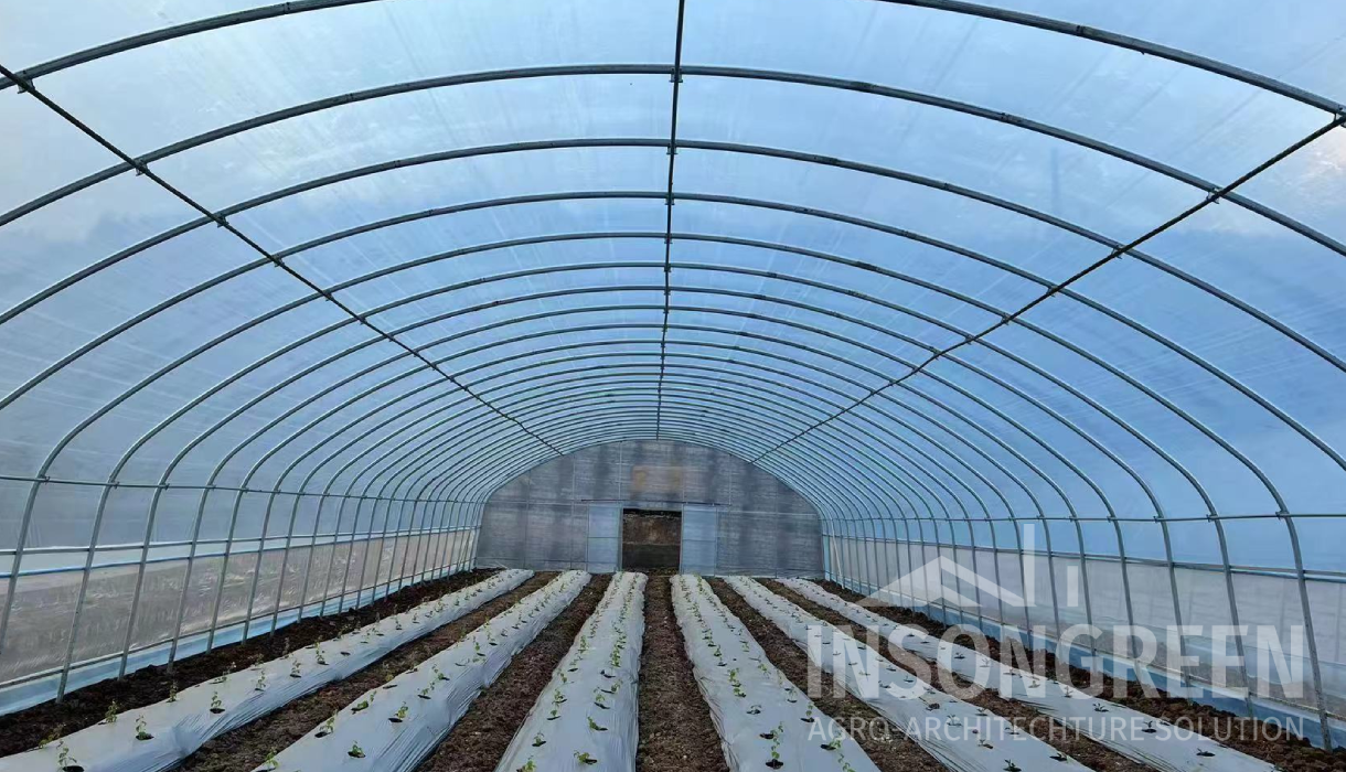 Poly Greenhouse (Polyhouse & Polytunnel) - INSONGREEN