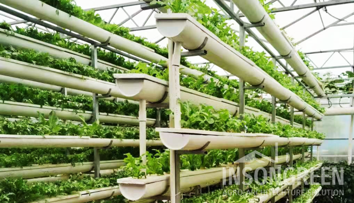 Hydroponics Greenhouse Manufacturer - INSONGREEN