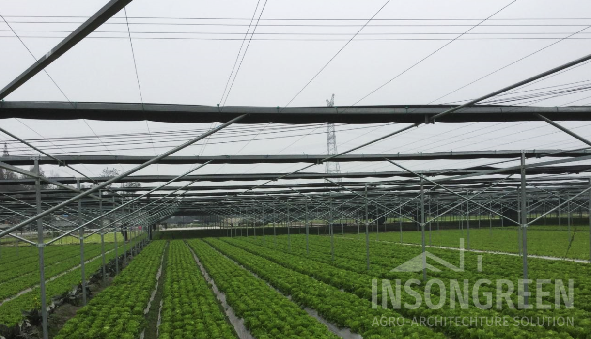 Shade Structure - INSONGREEN