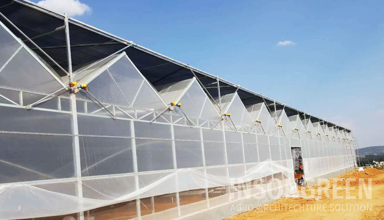 Widespan Greenhouse - INSONGREEN