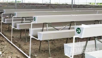 Poly Greenhouse (Polyhouse & Polytunnel) - INSONGREEN