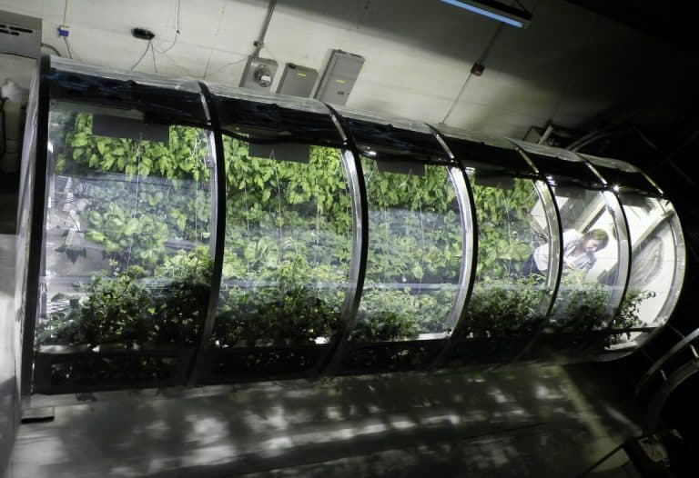 Automated Greenhouse System: 9 Crucial Components - INSONGREEN