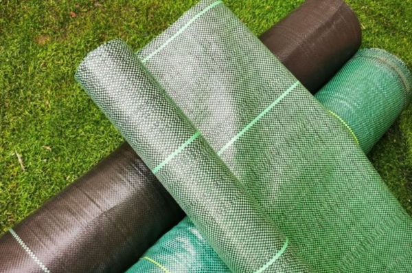 Commercial Ground Cover Rolls (PP/HDPE) - MOQ: 10 Tons