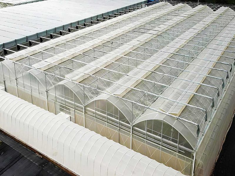 Multi-Span Greenhouse with Gutter-Connected - INSONGREEN
