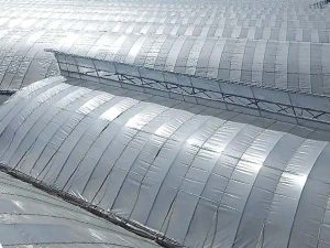 What Is a Sawtooth Greenhouse and How Does It Work? - INSONGREEN