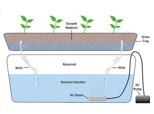 7 Different Greenhouse Hydroponic Systems: Which One Suits You Best ...
